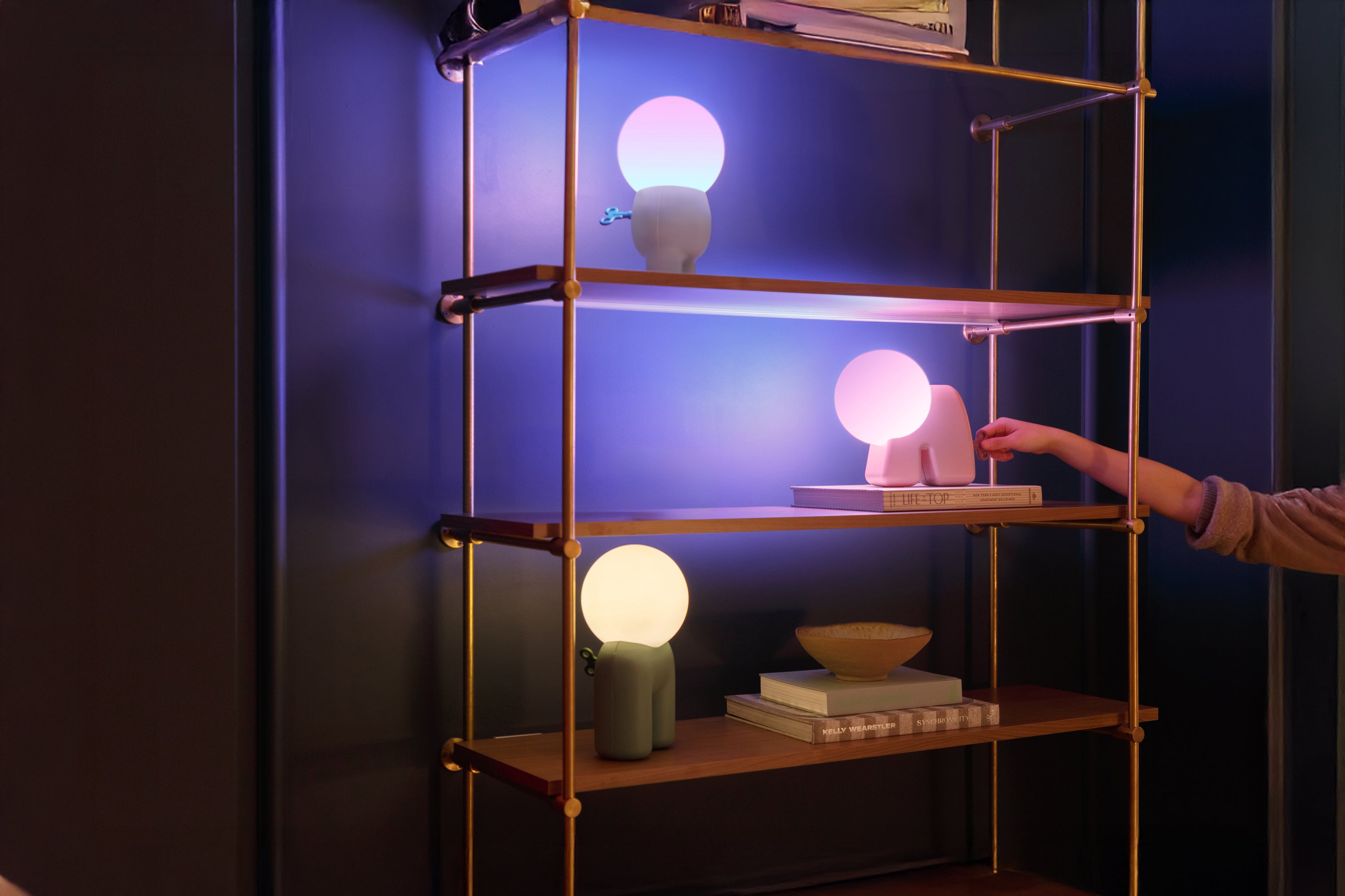 Transform Your Space and Mind with Buddy – Buddy Design