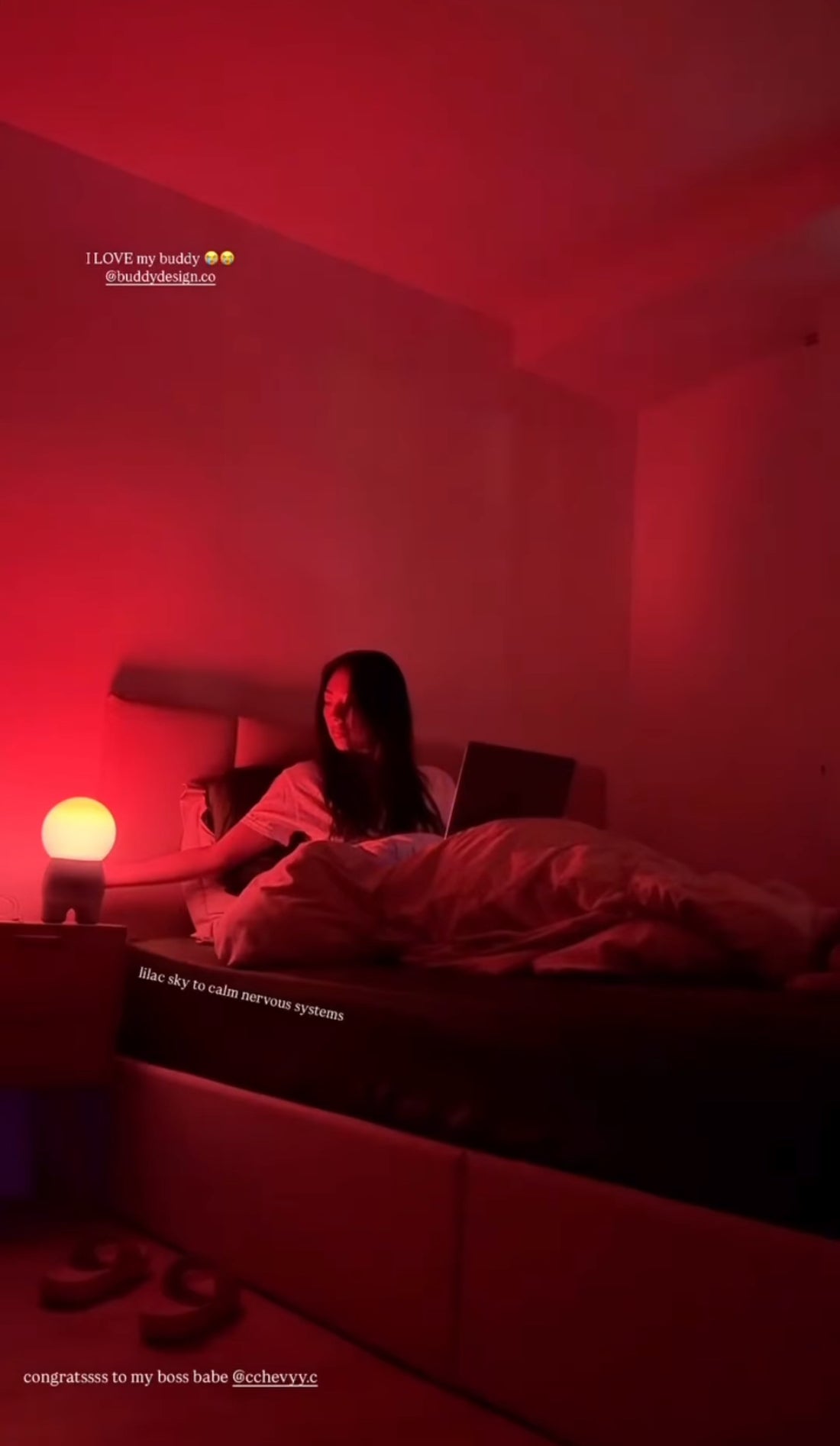 Transform Your Space and Mind with Buddy – Buddy Design